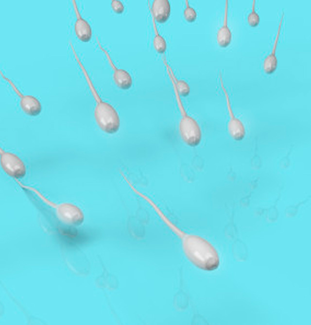 Recuperación Espermática Clínica Emby