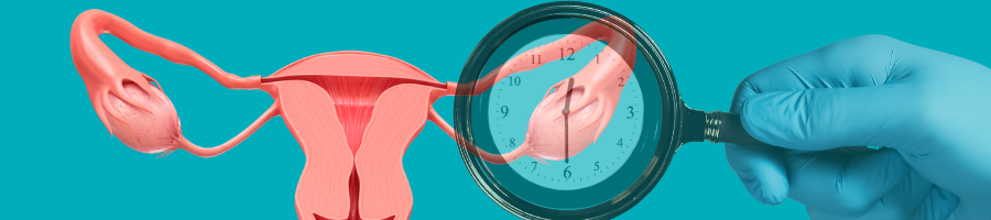 Doble Estimulación o protocolo DuoStim - Clínica Emby